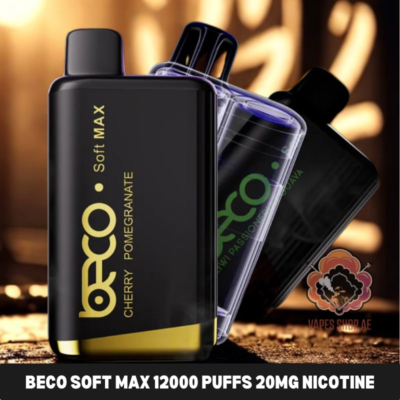 The Best ELFBAR Raya D1 13000 Puffs Disposable Vape Dubai